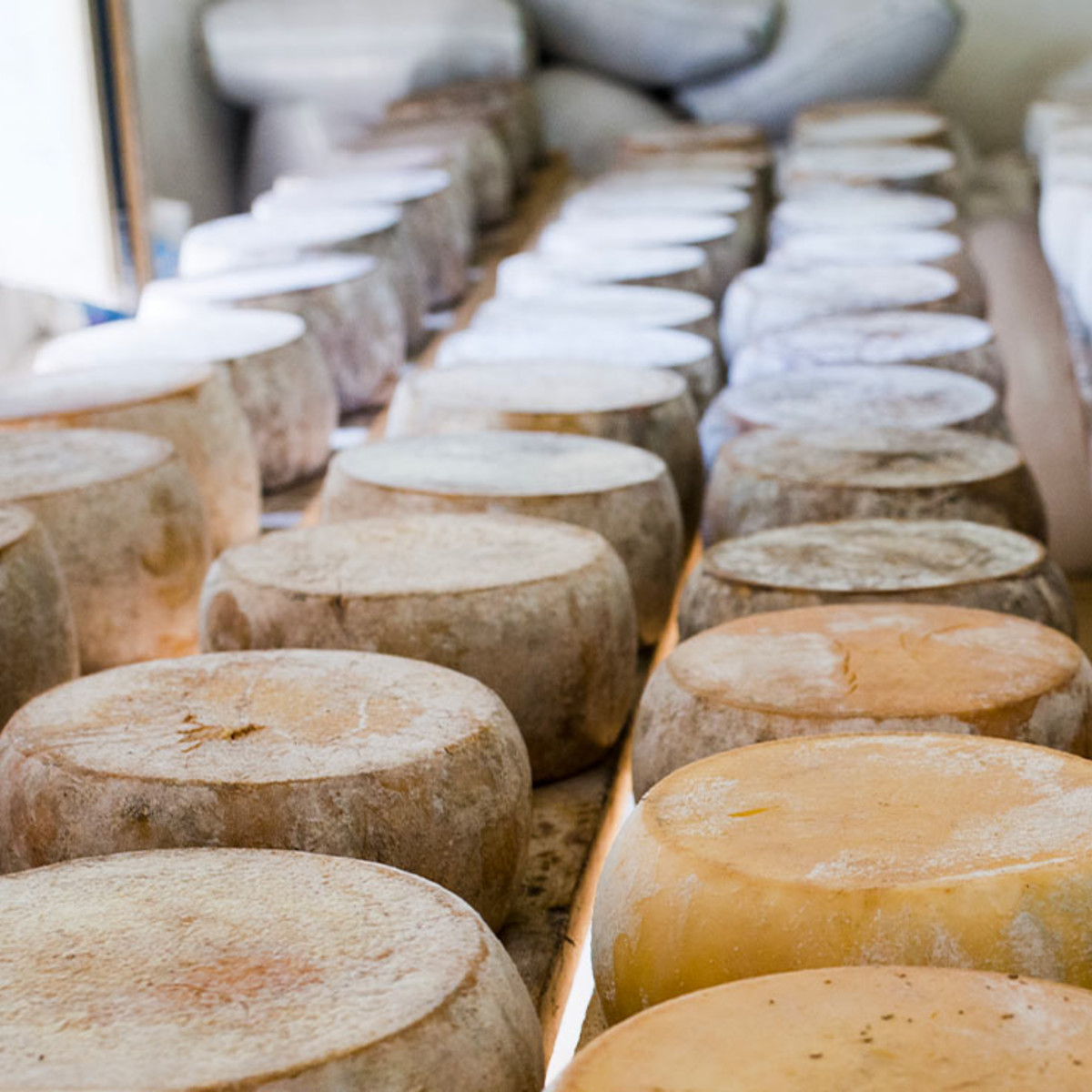 Sapori genuini e segreti di longevità