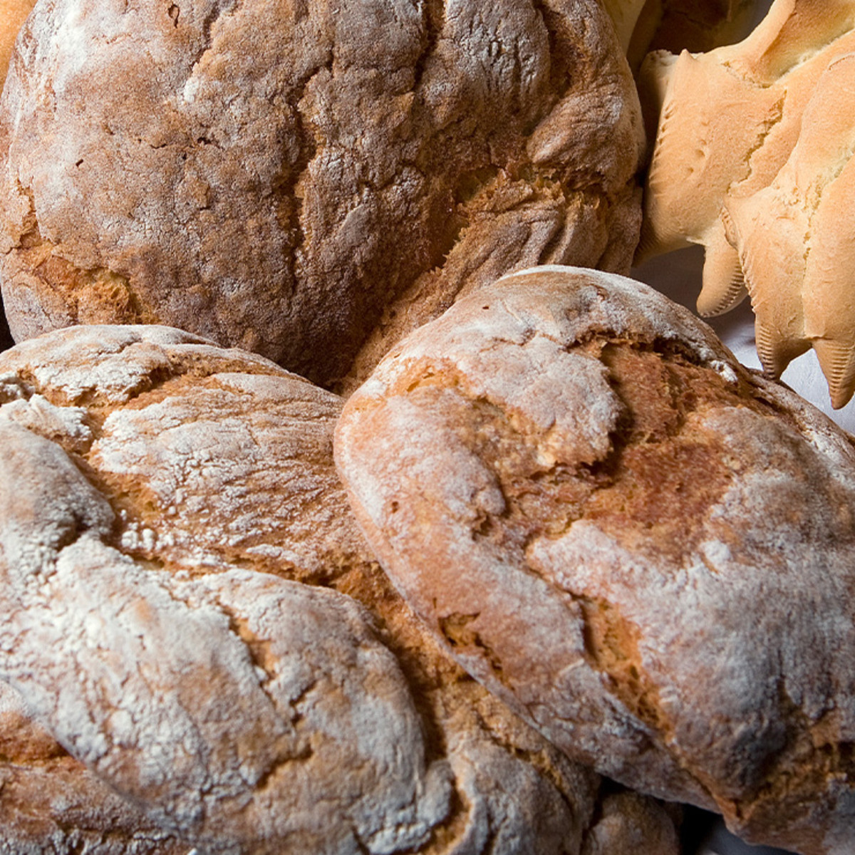 Typical products of Gallura: where to buy them in Porto Cervo and ...