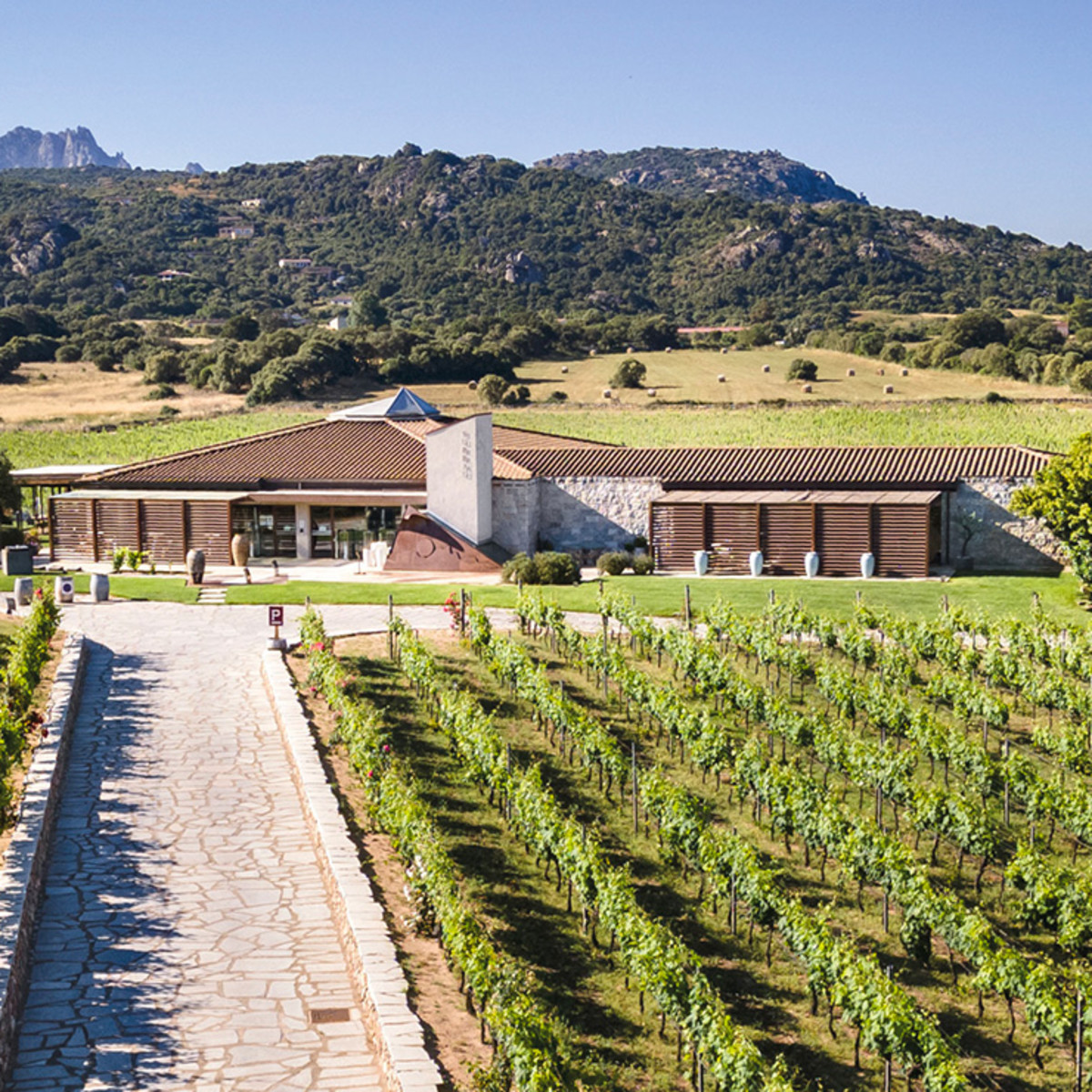 I migliori vini sardi